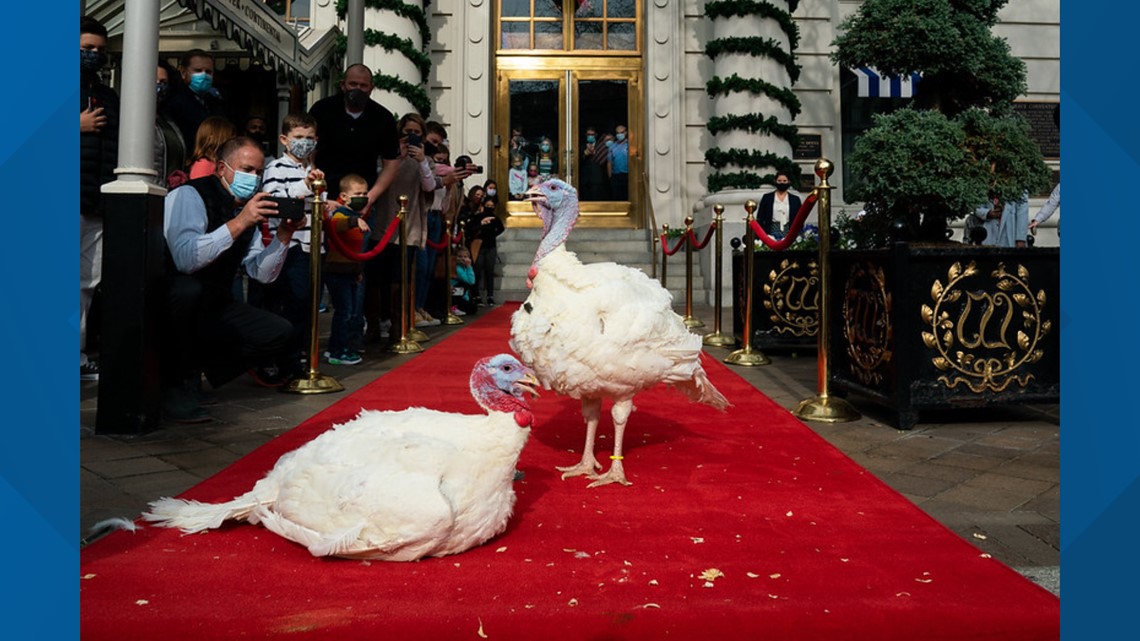 You can vote on which turkey will receive President Trump's ...