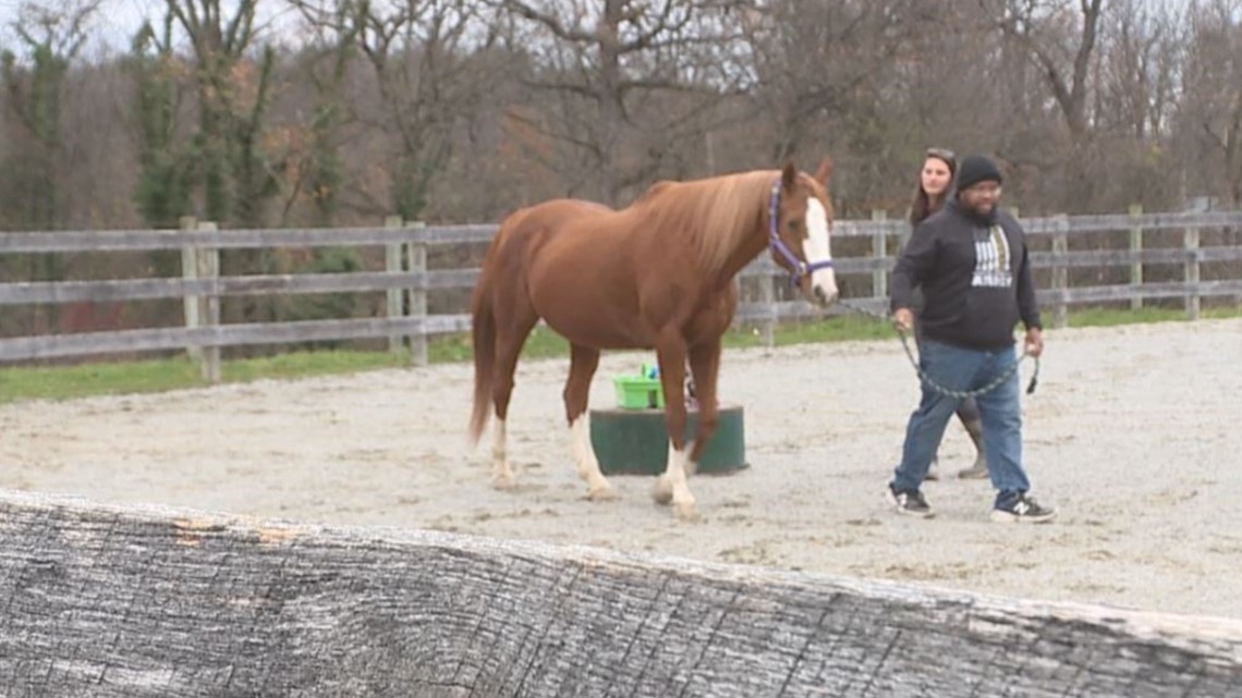 Leg Up Farm helps local veterans | fox43.com