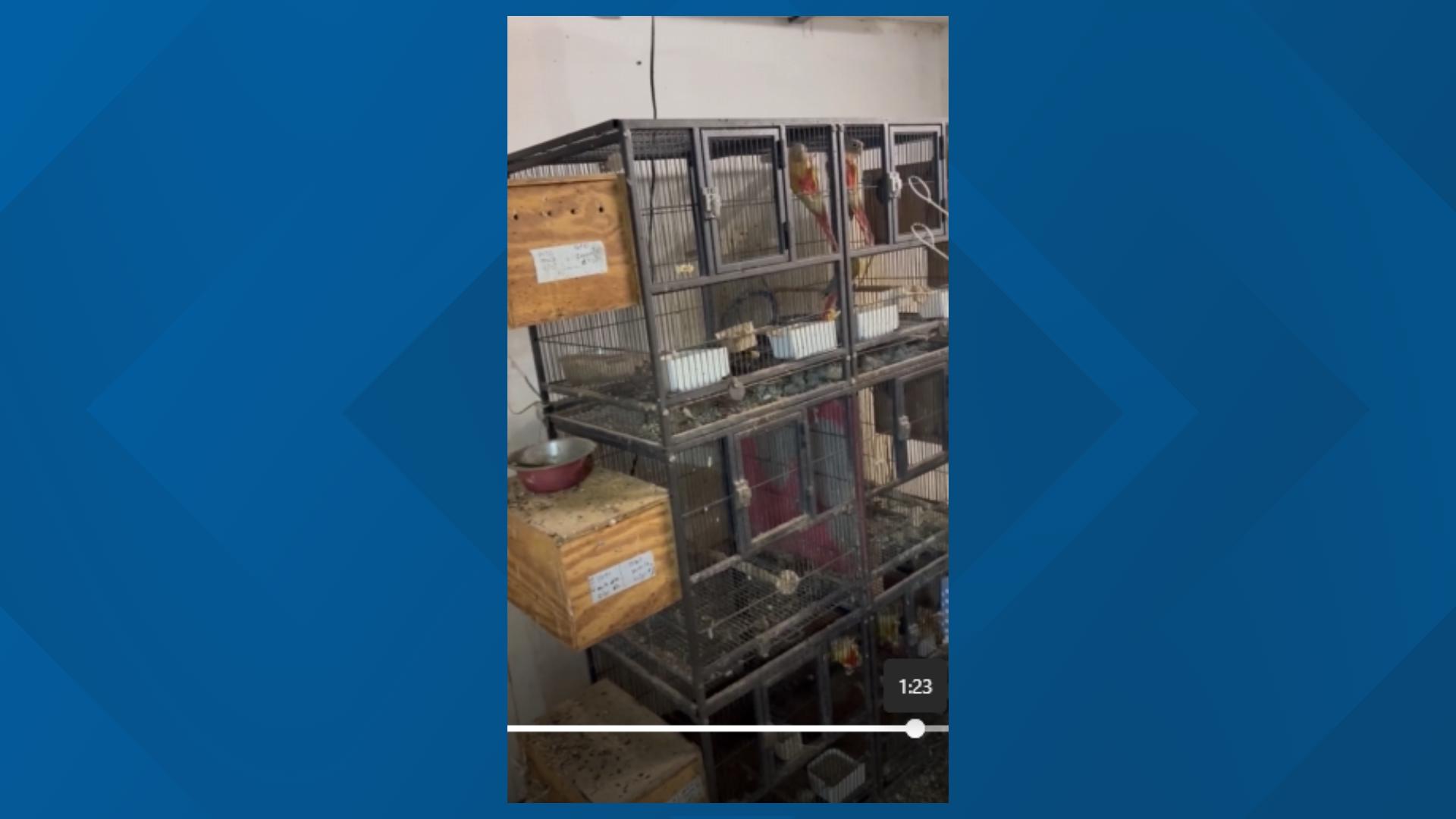 Bird Boyz store in Red Lion, York investigation ongoing | fox43.com