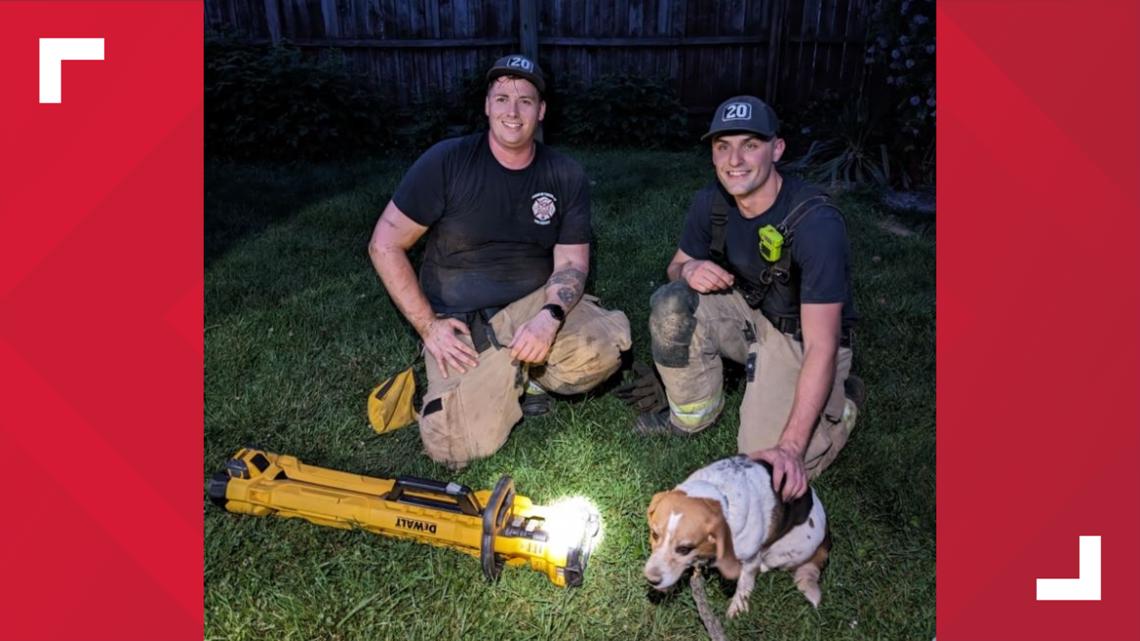 Sassy the Beagle is saved! | fox43.com