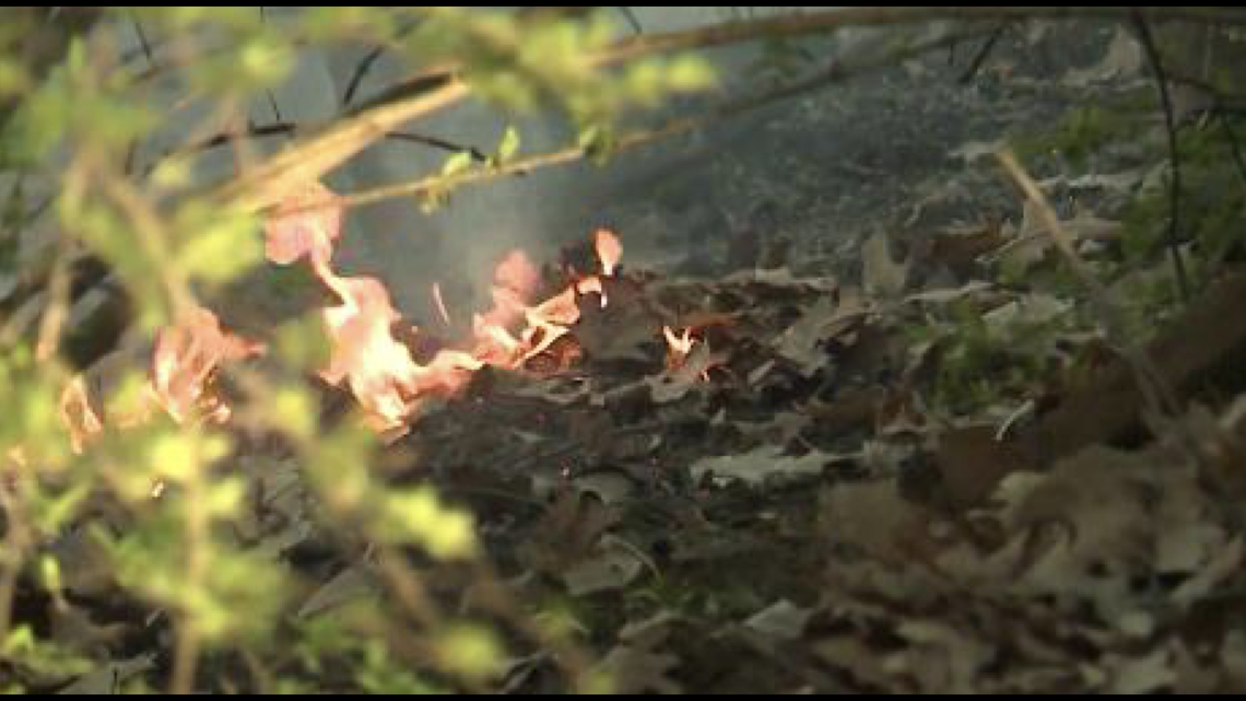 PA Bureau of Forestry experts discuss dangers of wildfire season ...