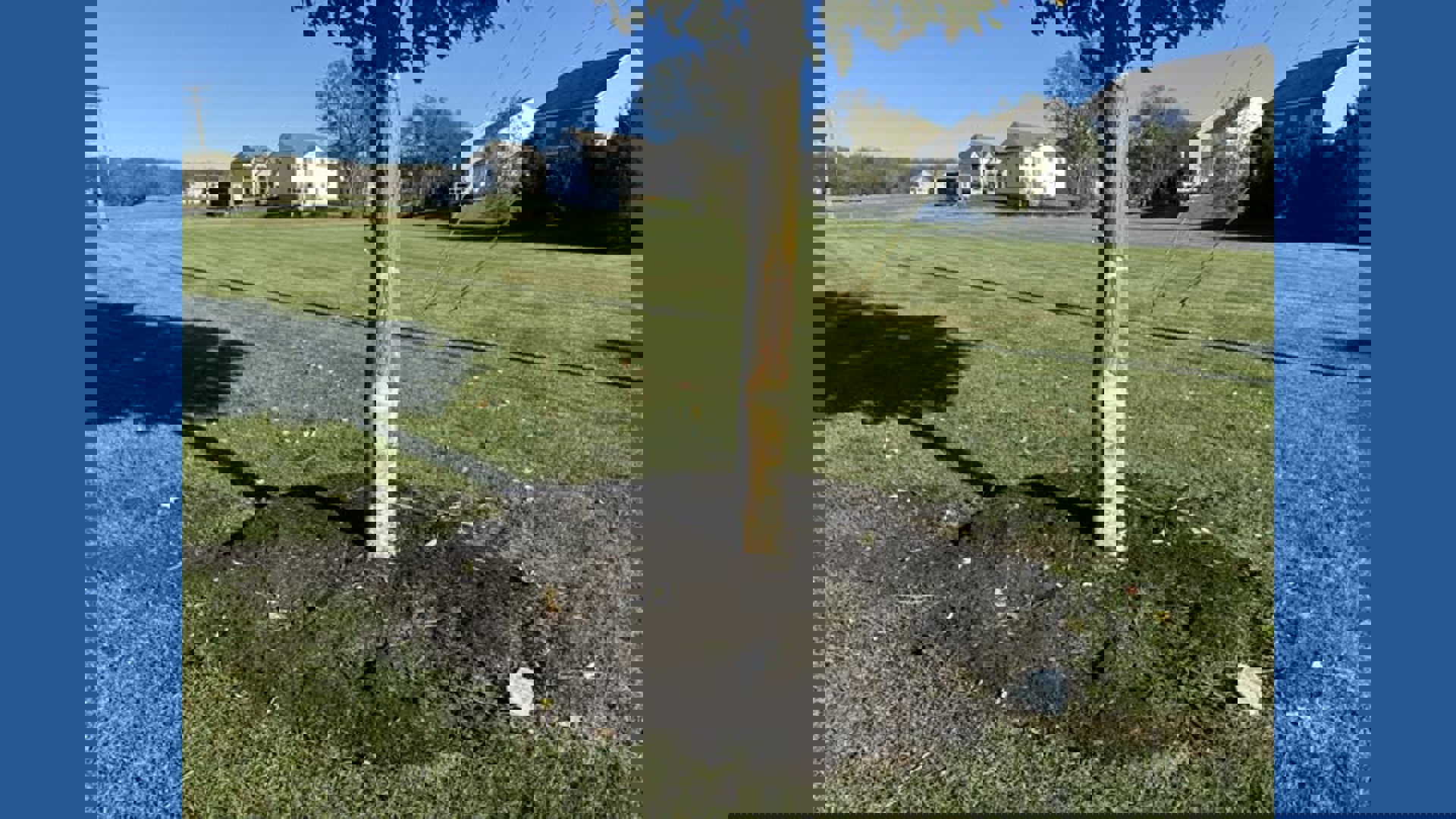 Car splits in two after colliding with a tree in Cumberland County ...