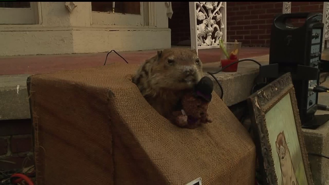 York County’s ‘Poor Richard’ predicts early Spring on Groundhog Day ...