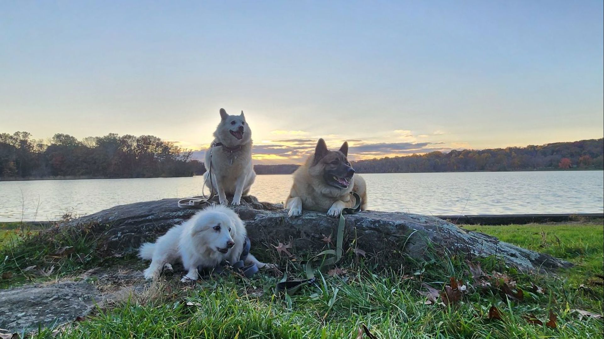 Fall emerges across central Pa. | PHOTO GALLERY | fox43.com