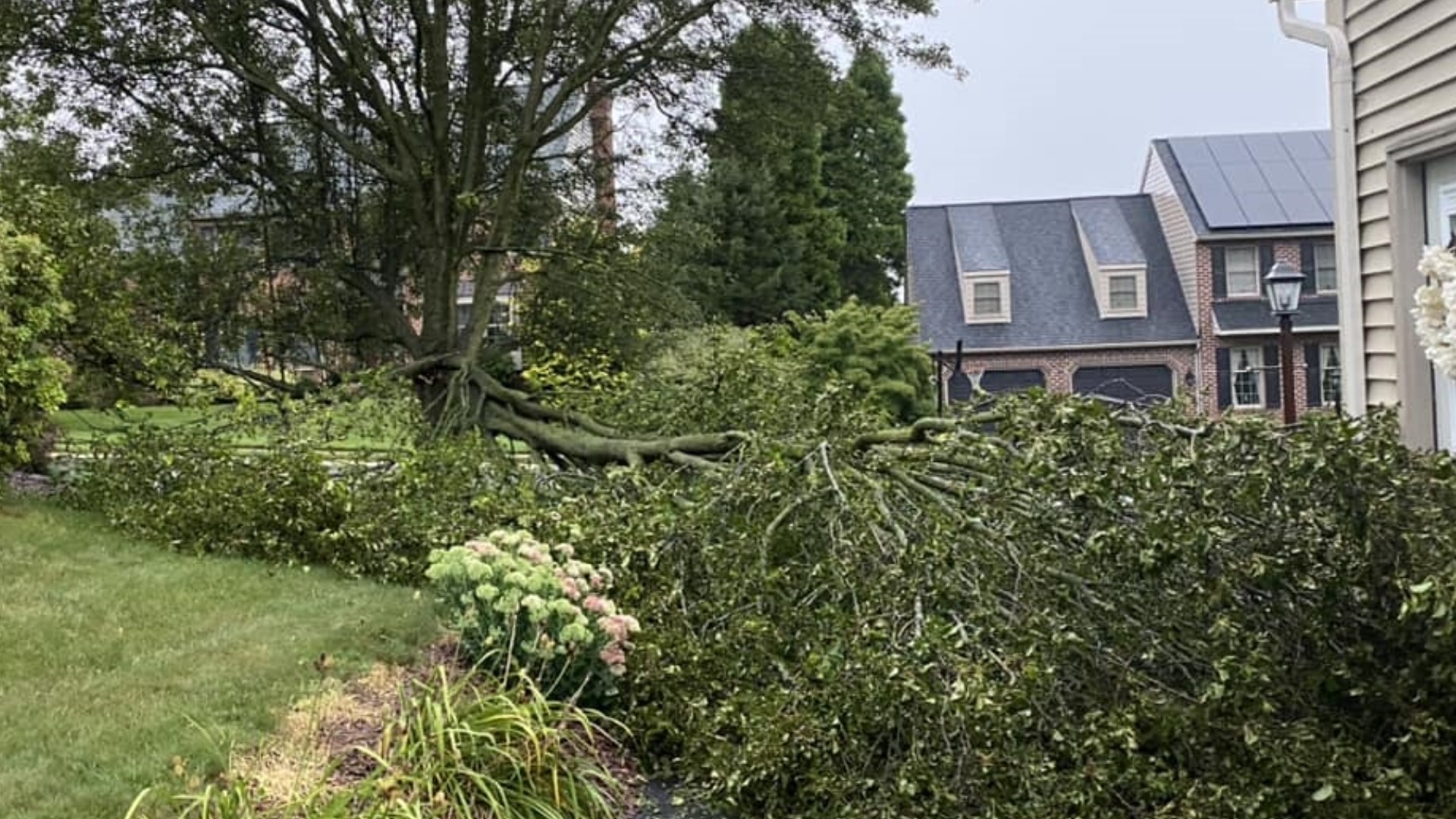 Storm damage across south-central Pennsylvania | fox43.com