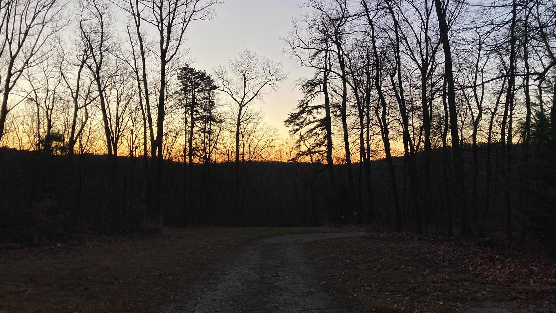 2026 fishing licenses, launch permits and gift vouchers now on sale: Here's what to know | fox43.com