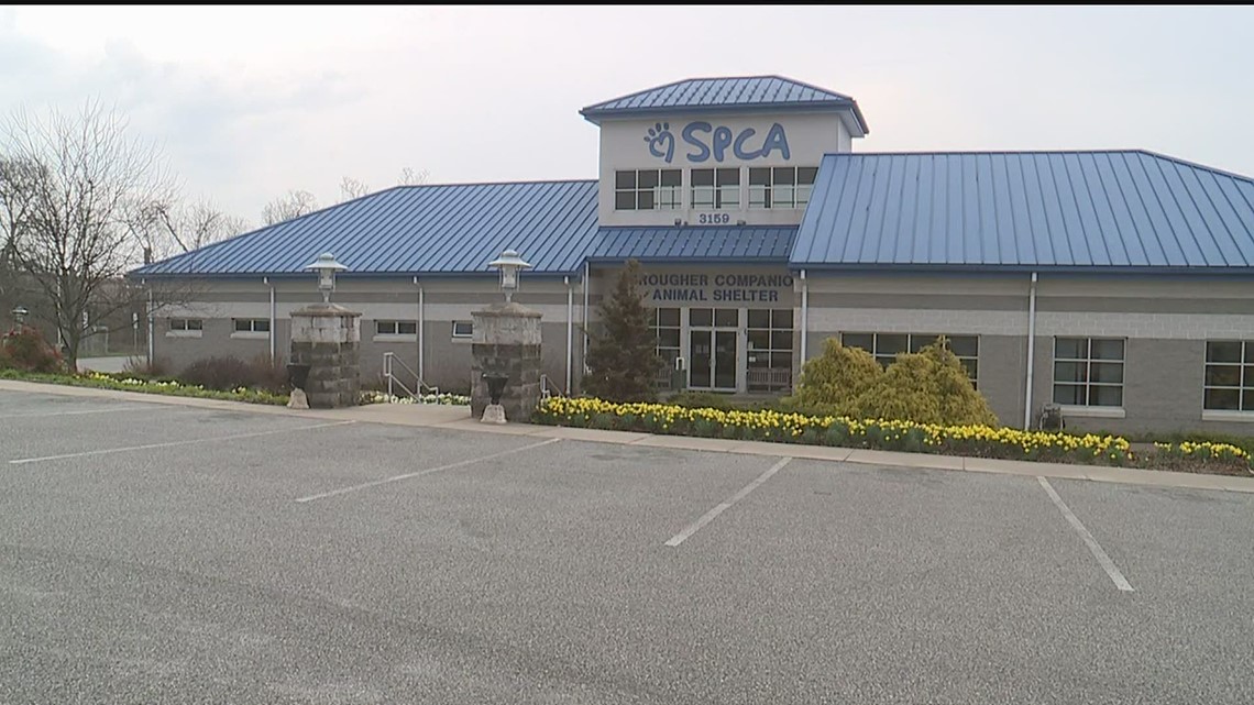 York County SPCA hiring | fox43.com
