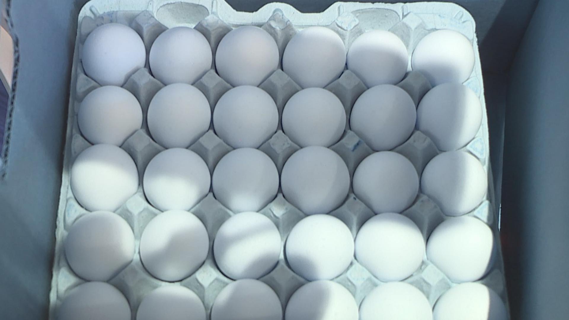 How soaring egg prices impact businesses | fox43.com