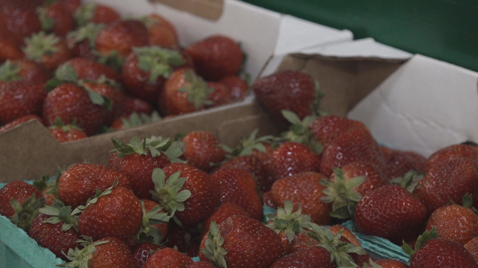 10th annual Strawberry Fest Delights at Hollabaugh Bros. | fox43.com