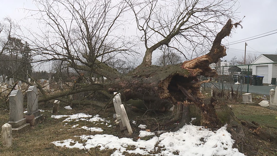 Lincoln Cemetery gravestones damaged by fallen tree | fox43.com