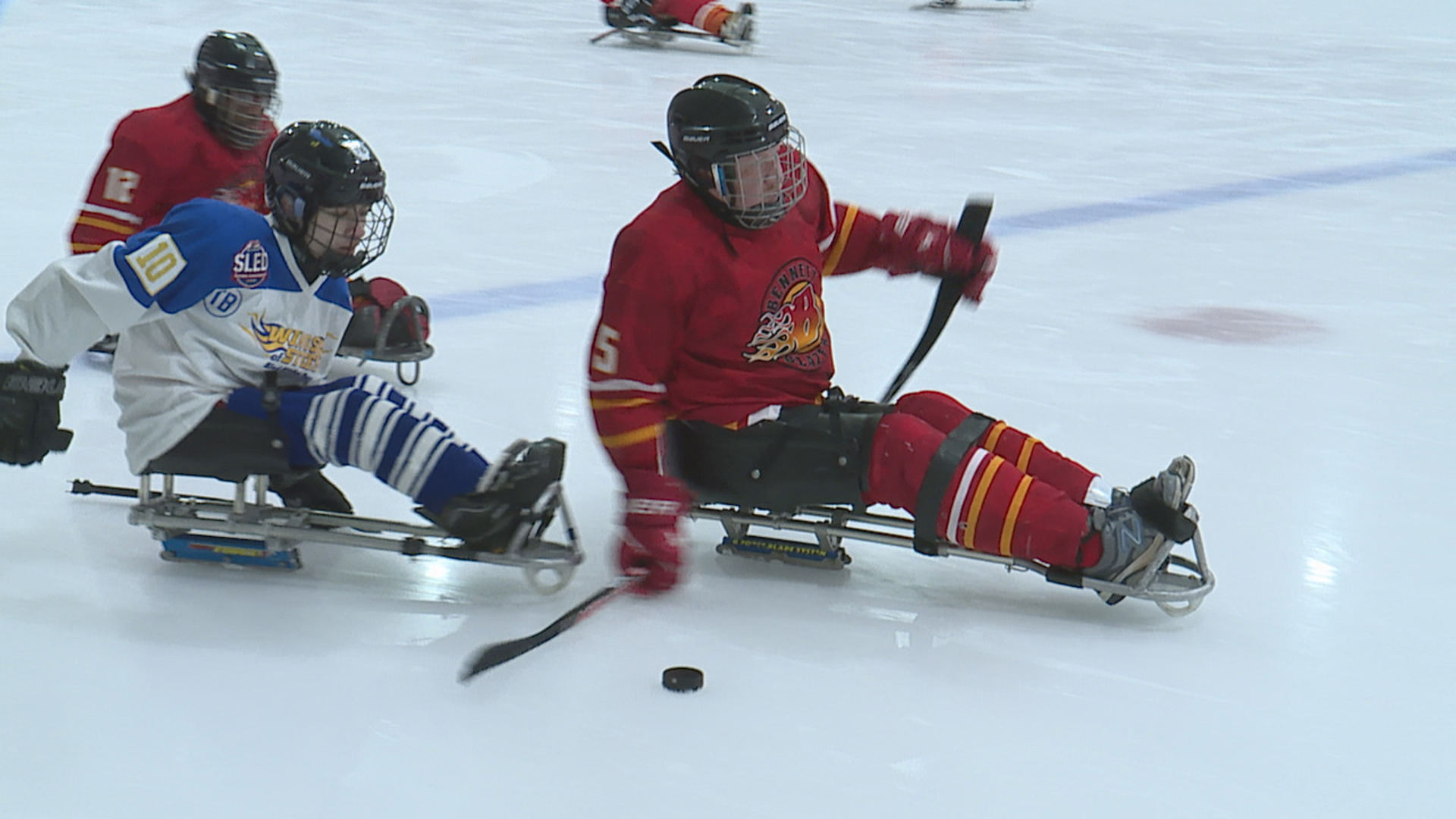 York Vikings promote community through sled hockey | fox43.com
