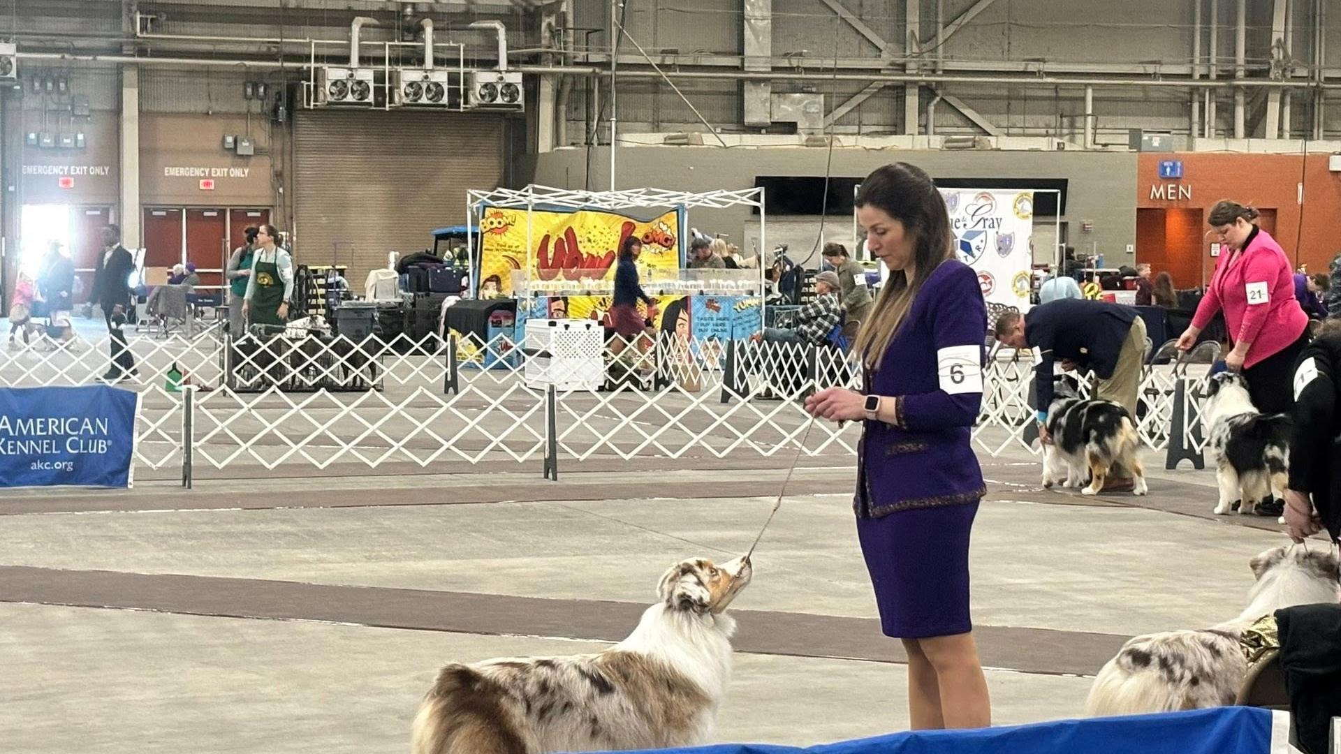 Blue and Gray Cluster Dog Shows return to Harrisburg with nearly 7,000 ...
