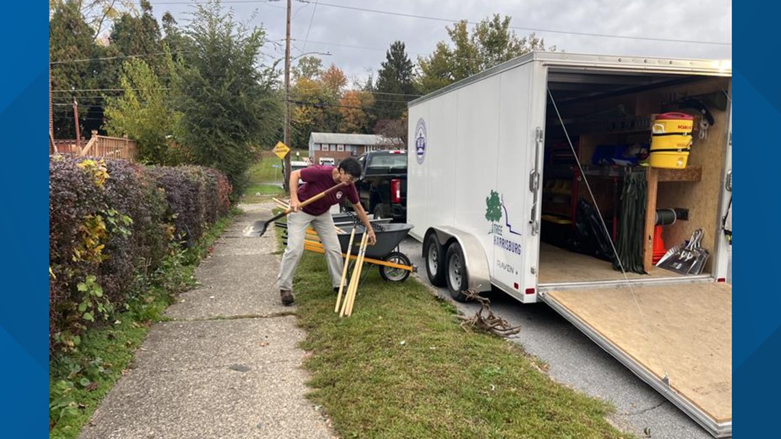 Volunteers Needed To Plant Trees In Harrisburg Beautification Project