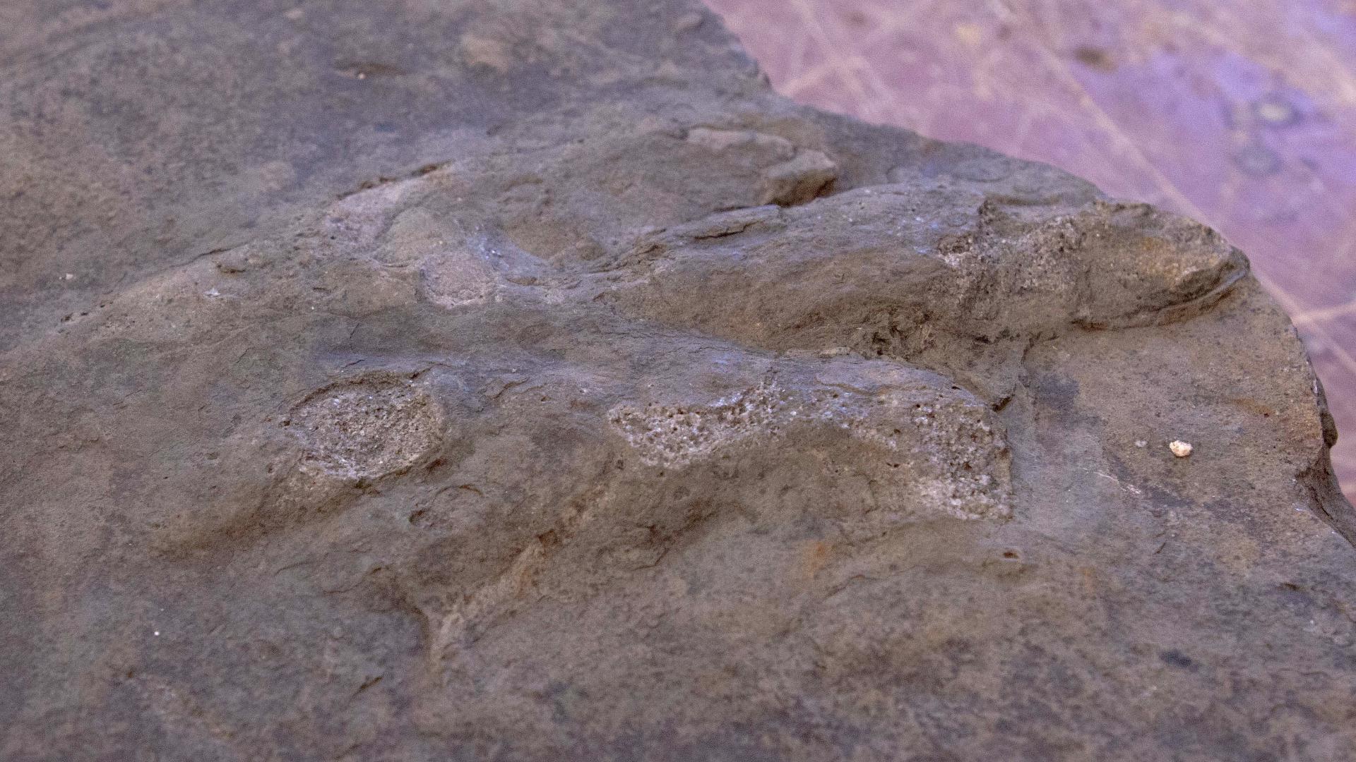 'Dinosaur Bridge' in Gettysburg damaged by vandalism | fox43.com