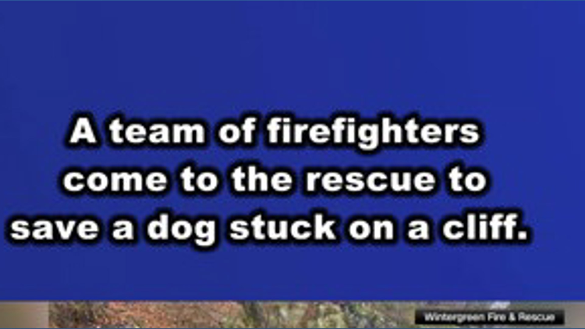 Team of firefighters rescue dog stuck on cliff | fox43.com