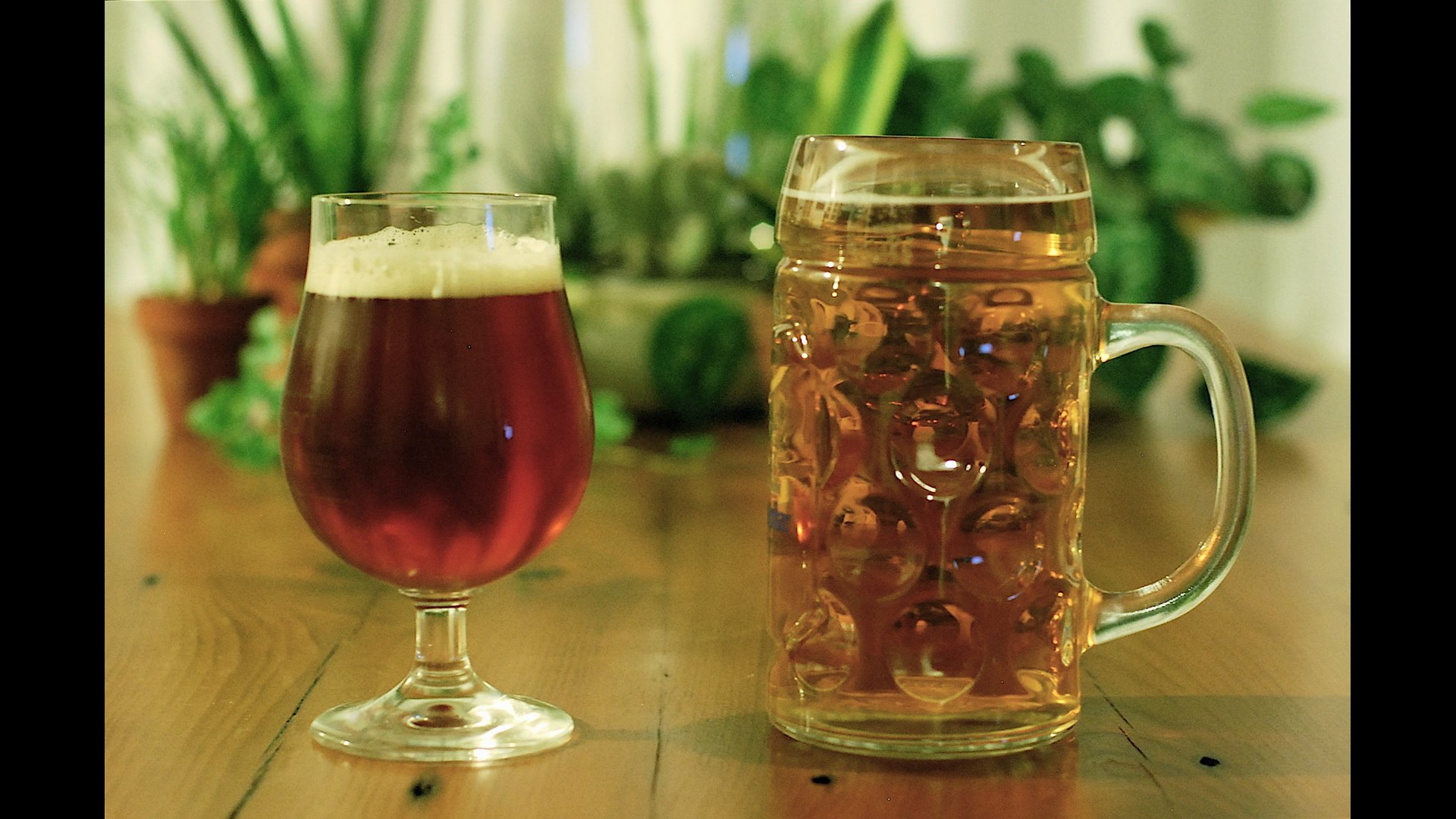 Americans over 60 are drinking more, study says | fox43.com