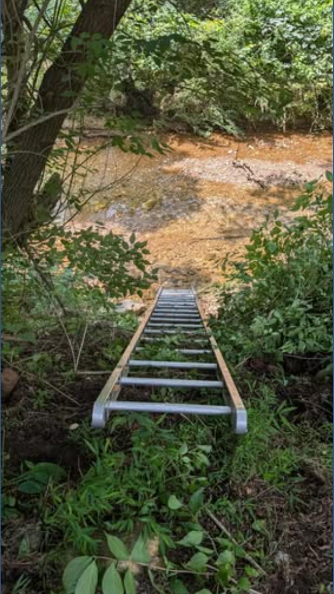 York County crews rescue woman from 25-foot fall | fox43.com