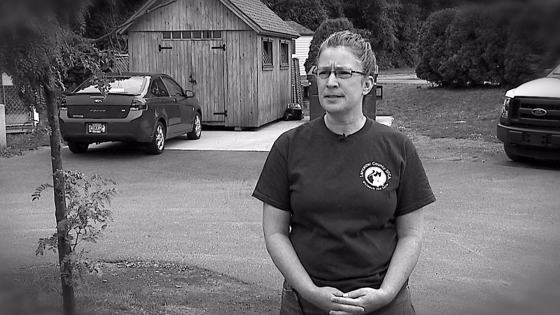 Susan Martin voluntarily resigns over Libre animal cruelty case | fox43.com