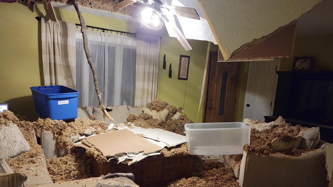 Tree falls, damages Peach Bottom Township home | fox43.com