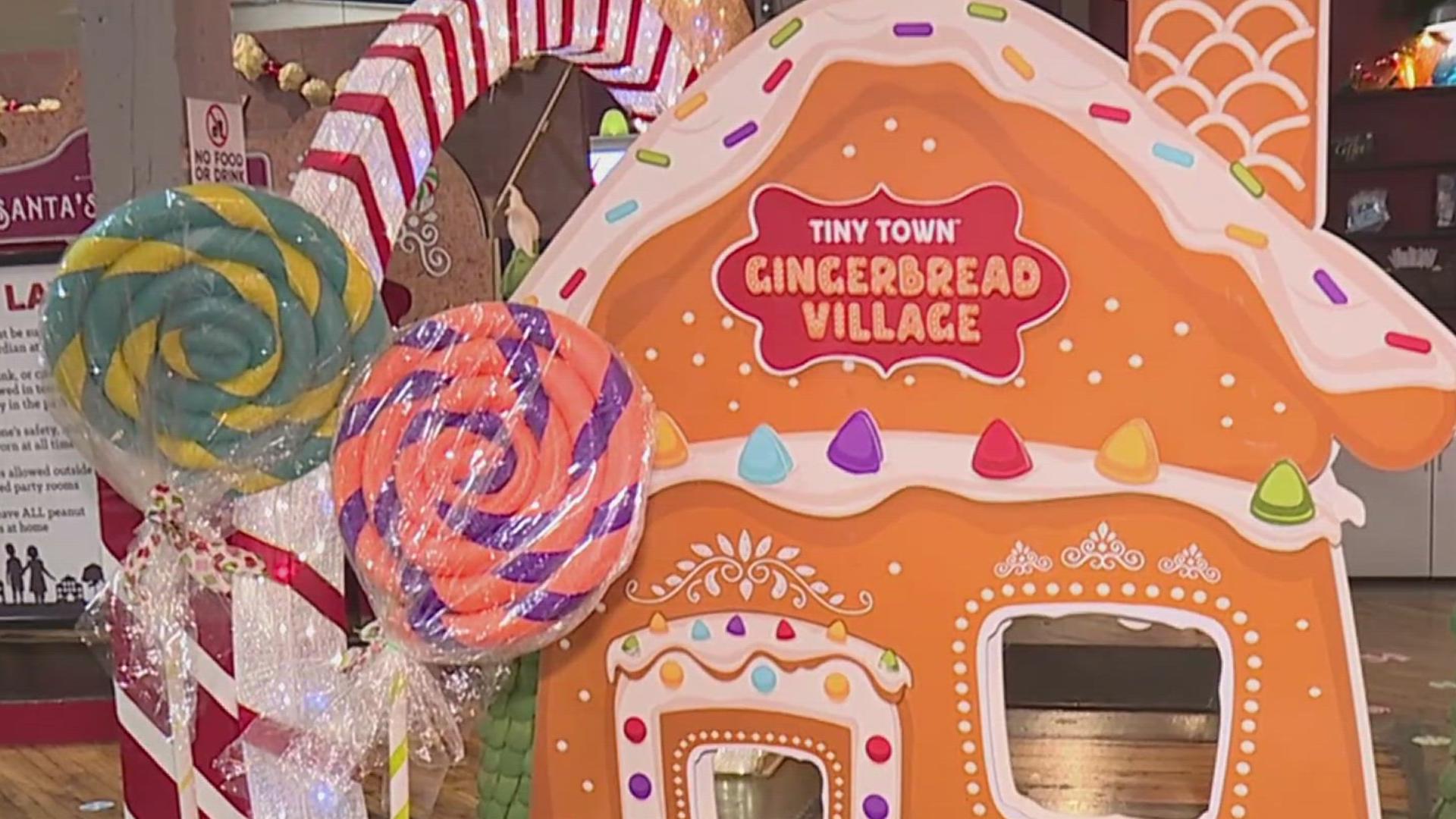 What's known about the victim in the ICE shooting in Minneapolis ...