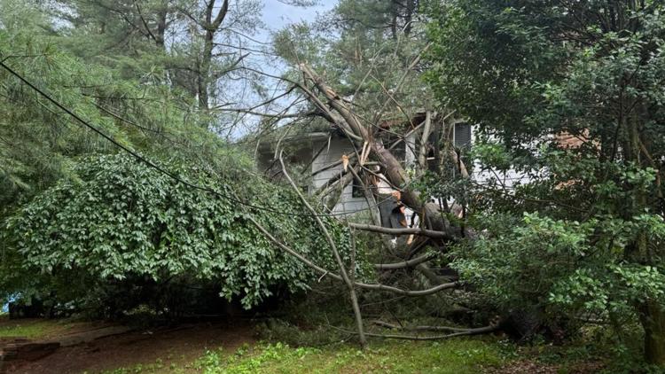 Large tree damages house in Lancaster County | fox43.com