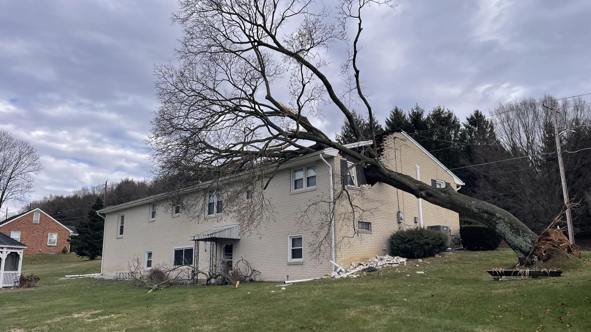 PHOTOS: High winds cause damage across the region | fox43.com