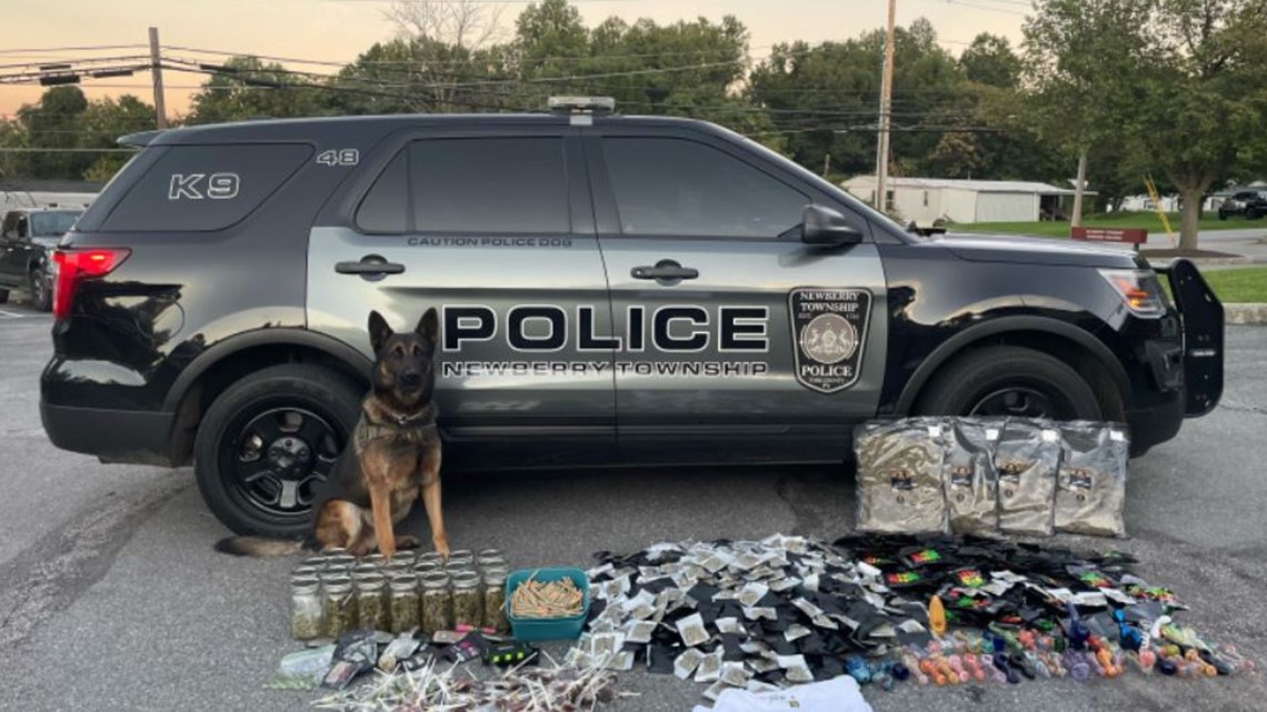 Police seize large amount of marijuana during Newberry Township drug ...