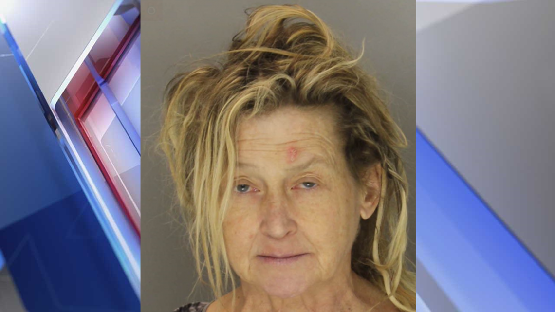 Hummelstown woman charged after police receive two noise complaints in ...