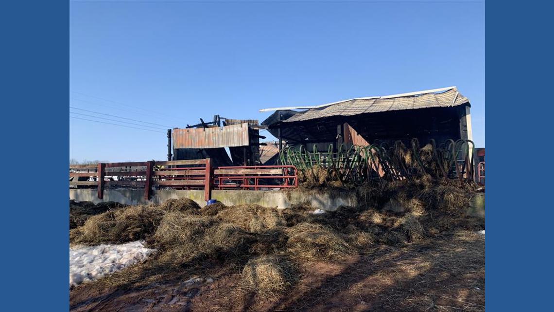 Barn fire in Adams County kills one cow, three goats | fox43.com