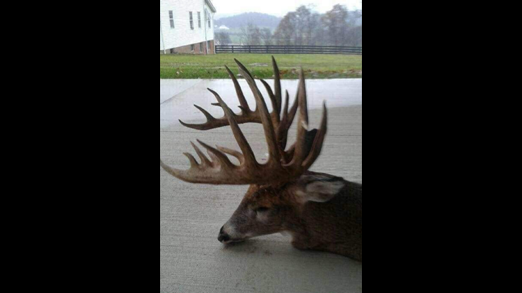 Ohio Amishman fined more than $28,000 for poaching 26-point buck ...