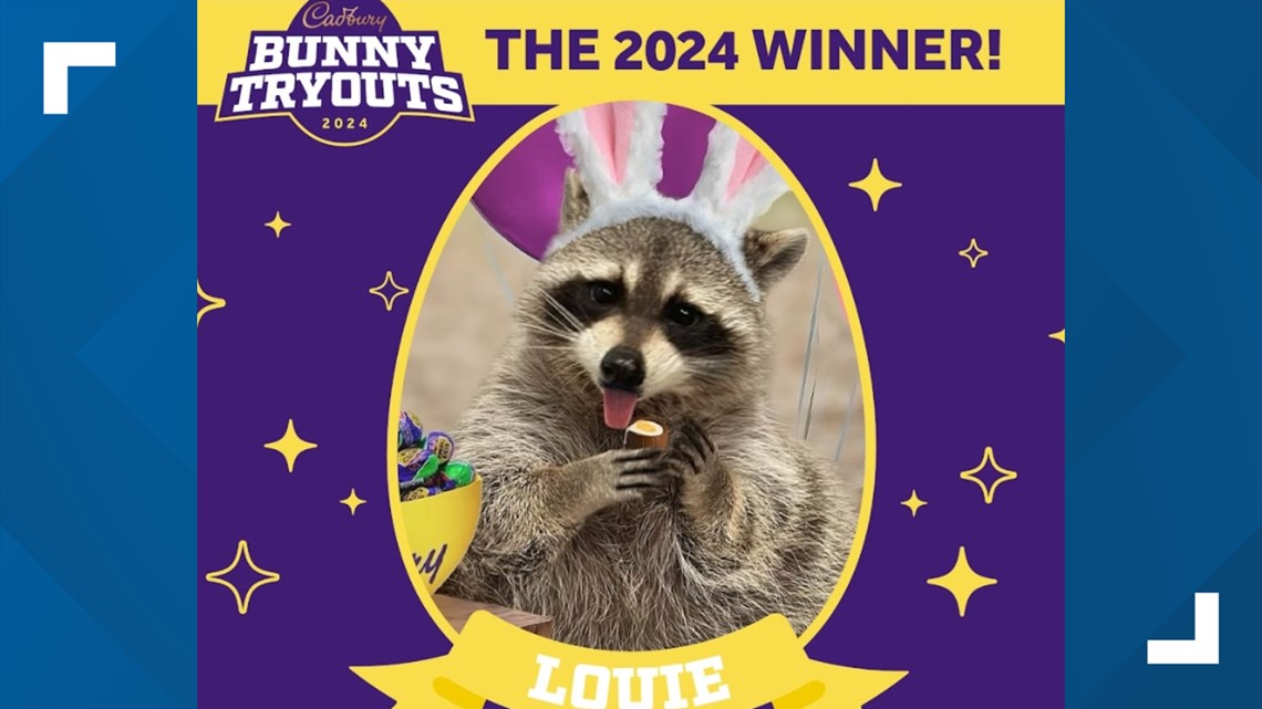 Meet the winner of Hershey's annual Cadbury Bunny Tryouts | fox43.com