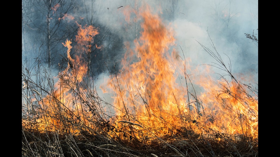 California wildfire consumes 4,000 acres near Santa Barbara | fox43.com