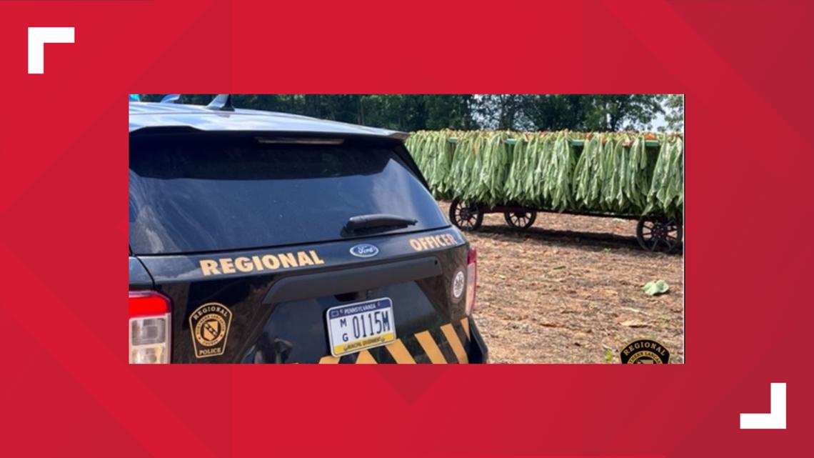 Child dies in Lancaster County farm accident | fox43.com