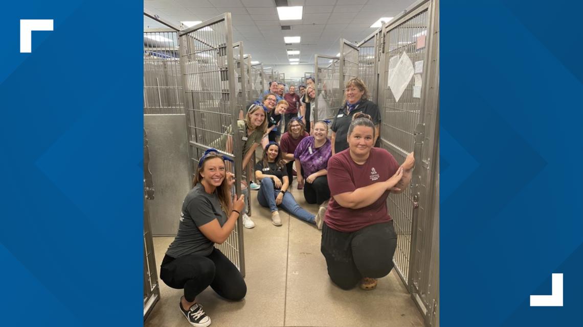 York County SPCA successfully clears the shelter at weekend adoption ...