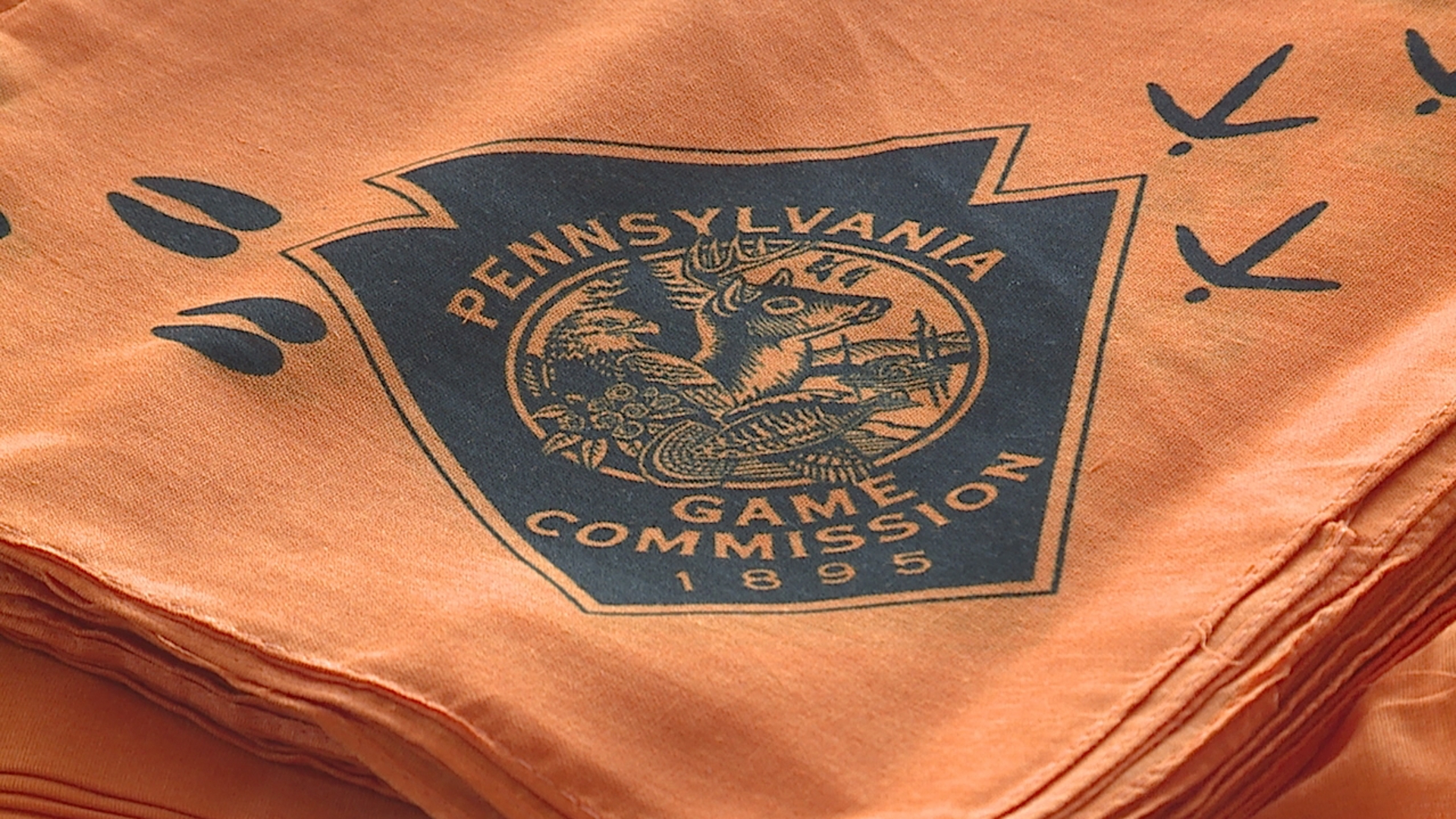 Game Commission Considers Sunday Hunting Expansion | wnep.com