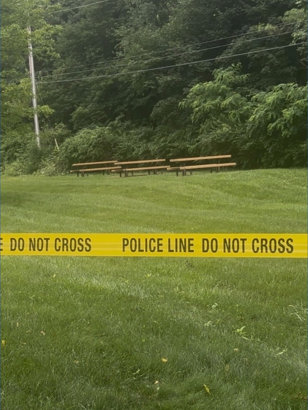 Human remains found in Springettsbury Township; police are ...