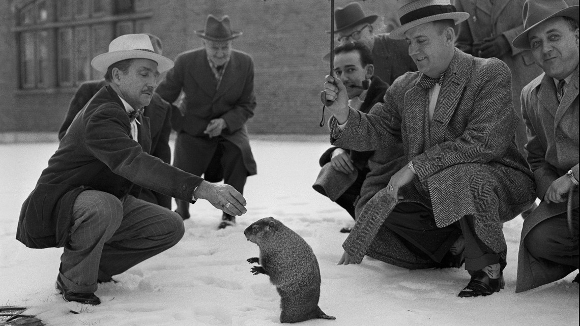 Groundhog Day's biggest star is Phil, but the holiday's deep roots ...