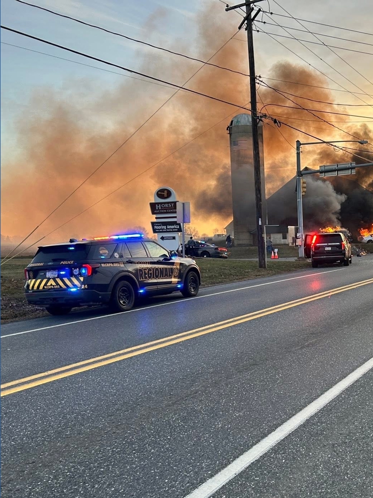 Facebook video shows 'Marty' the GIANT robot assistant making escape ...