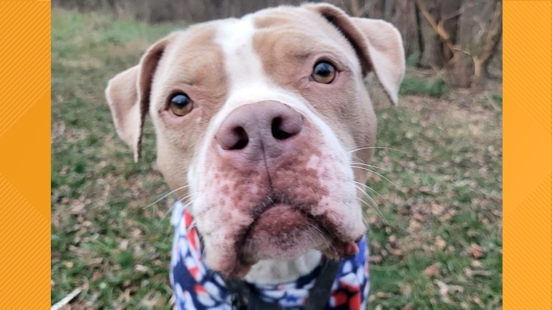 What to know about Cinemark's 'Bring Your Own Bucket' promotion | fox43.com