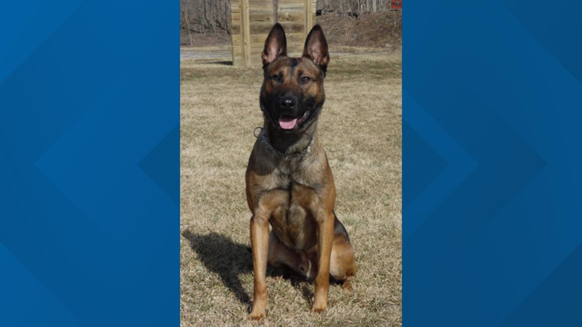 Chambersburg Police announce the death of K-9 Basco | fox43.com