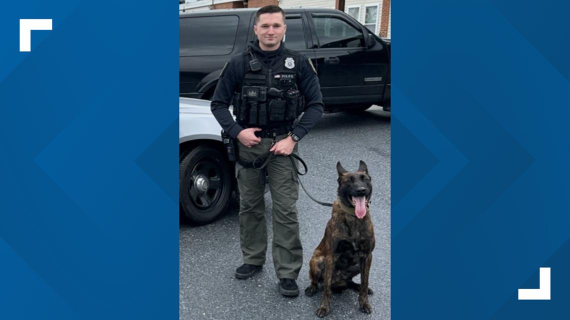 West Shore Police welcome K9 Raff to the team | fox43.com