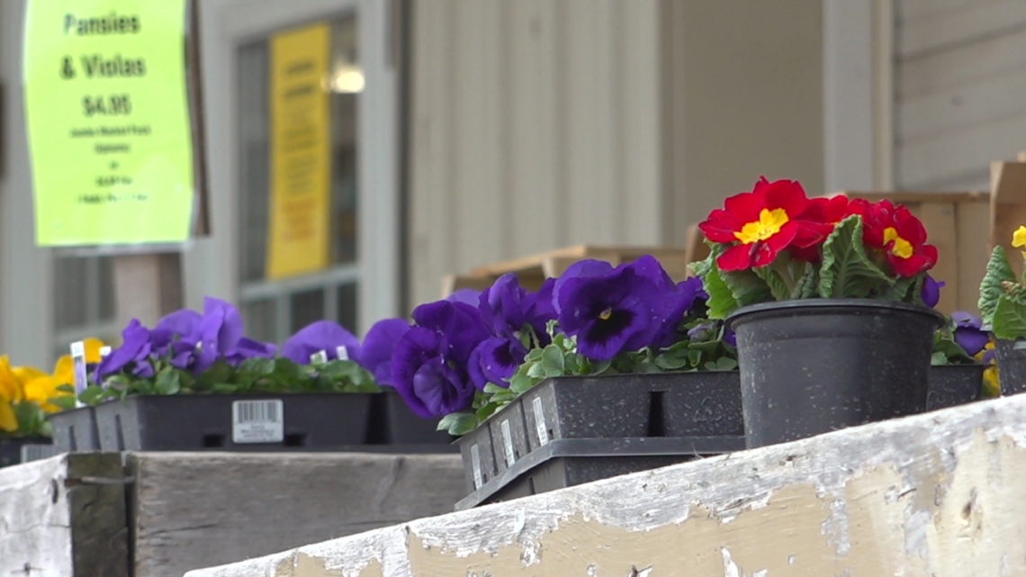 Wild temperature swings delay seasonal planting in south-central ...