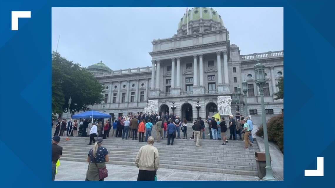 Pro-Second Amendment rally held on the steps of the State Capitol ...