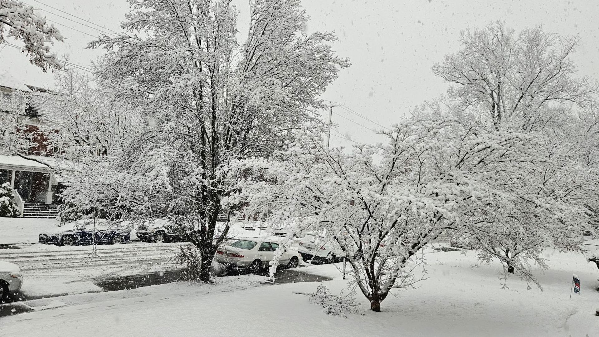 PHOTOS | Winter turns to spring in Pennsylvania | fox43.com