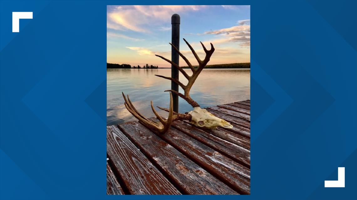 Pa. Game Commission certifies new record-setting typical whitetail rack ...