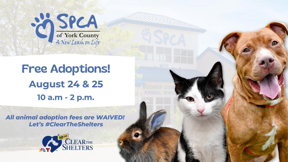 York County SPCA will waive adoption fees at upcoming National Clear ...