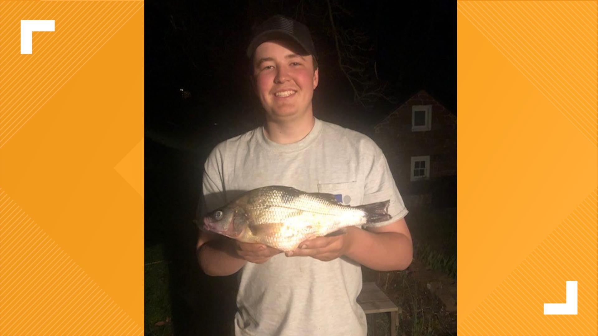 State record-breaking white perch reeled in by 19-year-old | wnep.com
