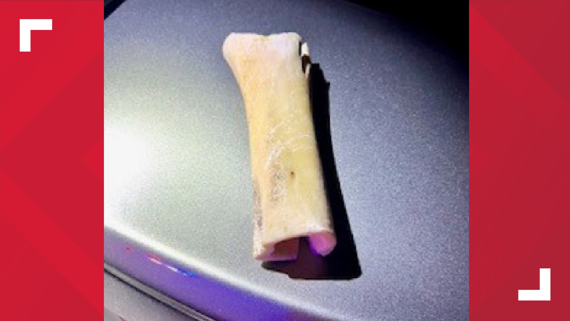 Rocks, dog bone, eggs thrown at cars in York County | fox43.com