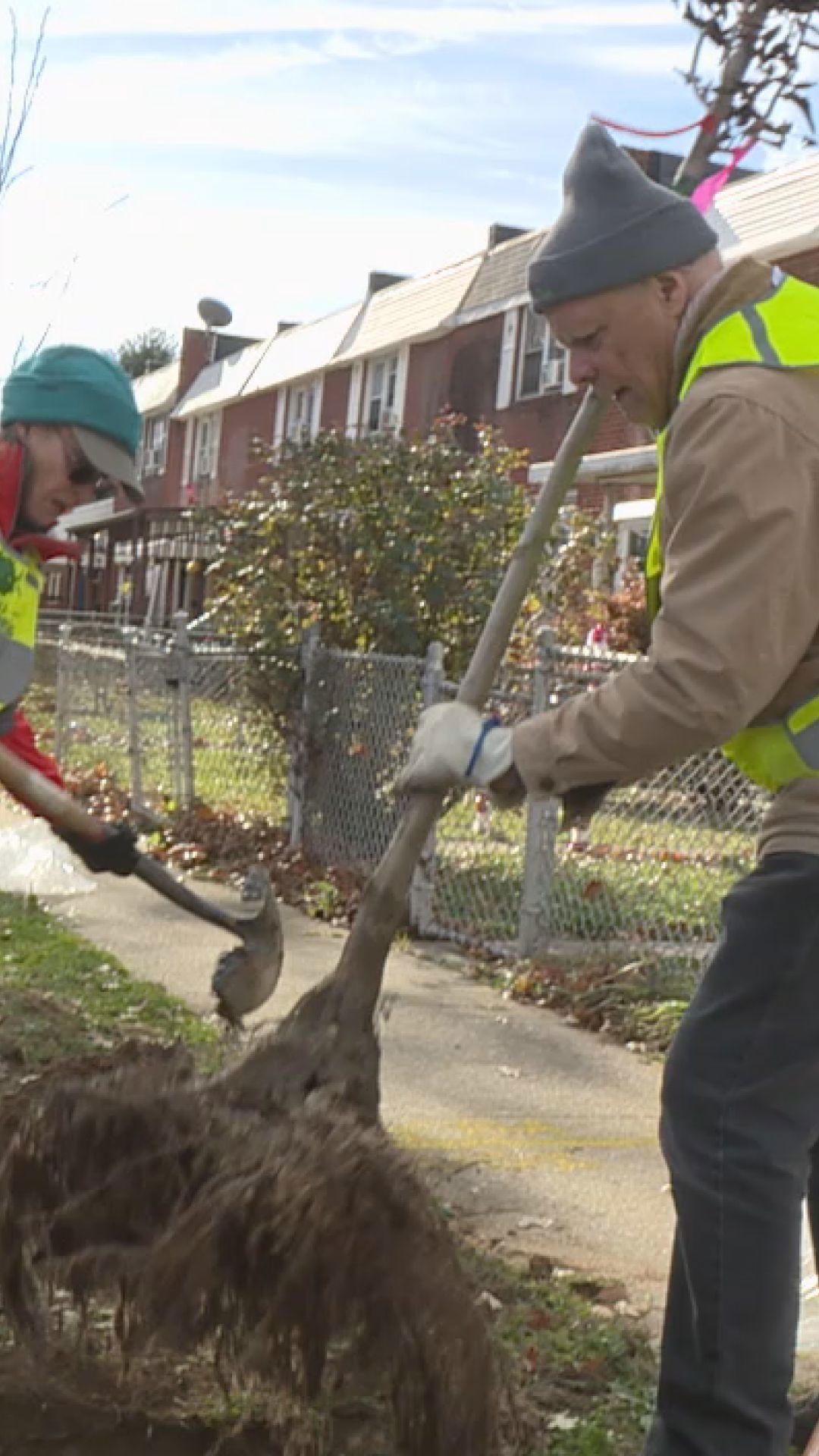 33 Trees Planted in South Harrisburg | fox43.com