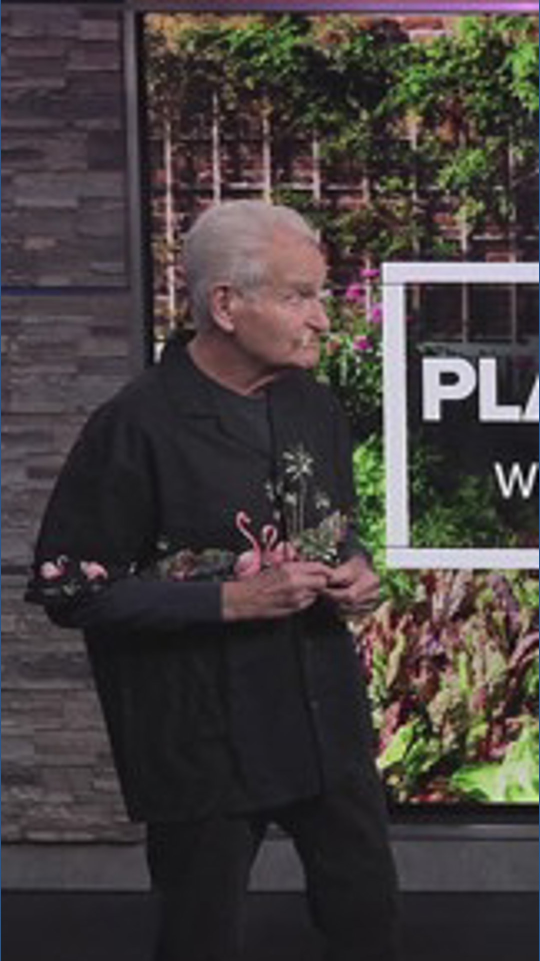 How can we care for our jasmine plant? | Plants & Gardens with Craig ...